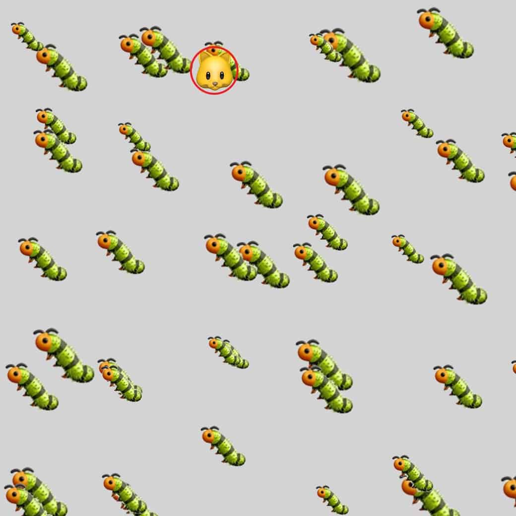 Only 5 Out Of 100 People Will Graduate From This Tricky Odd One Out
