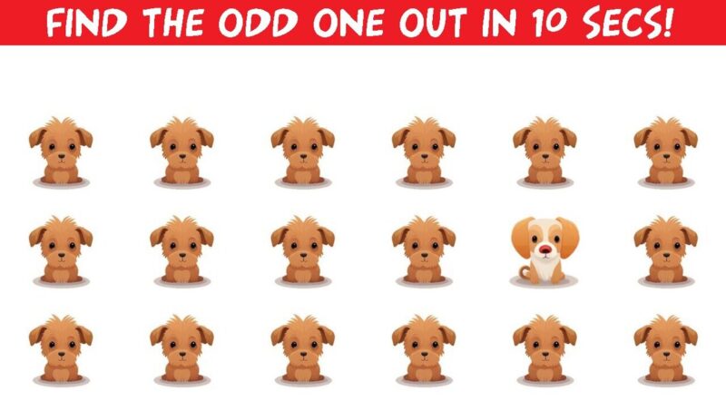 HyprQuiz.com | Challenge yourself to great quizzes and puzzles!